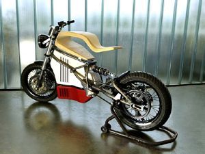 Meet the Expemotion E-raw bike - ZigWheels