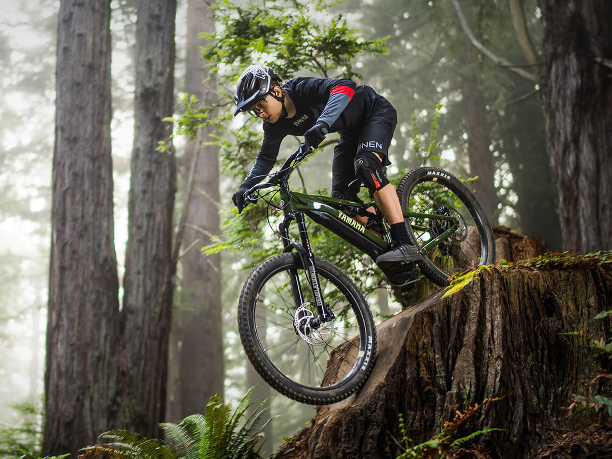 Merits And Demerits Of Owning An e-Cycle - ZigWheels