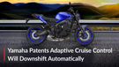 Latest Triumph Trident 660 Bike News: Triumph Trident 660 News Updates ...