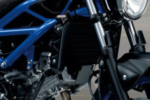 Suzuki SV650 Colors (3 colours) - SV650 Color Images | ZigWheels