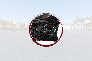 Bajaj Pulsar N250 Colors (1 colours) - Pulsar N250 Color Images @ ZigWheels