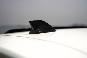 Tata Punch Tropical Mist Colour