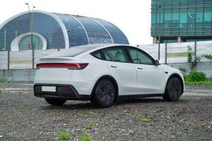 Tesla Model Y Colours – All 6 Colour Options with Images | ZigWheels