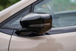 Tata Altroz Pure Grey Colour