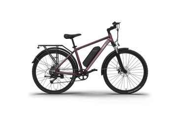 EMotorad T-Rex Pro vs Numeros Motors Diplos Pro - Compare Prices, Specs, Features