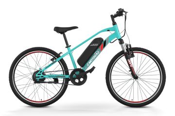 EMotorad Dope vs Green EV Invicta - Compare Prices, Specs, Features