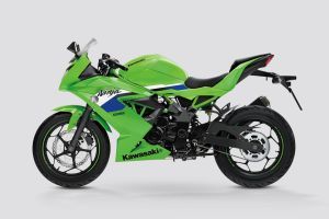 Kawasaki Ninja 125, Launch Date 2026, Specs, Images, News, Mileage ...