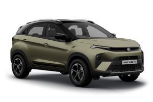 Tata Nexon Pure Grey Colour
