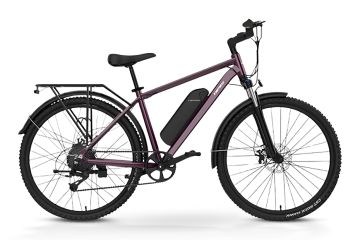 EMotorad T-Rex Pro vs Triumph Scrambler 900 - Compare Prices, Specs ...