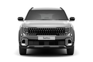 Kia Seltos Pewter Olive Colour