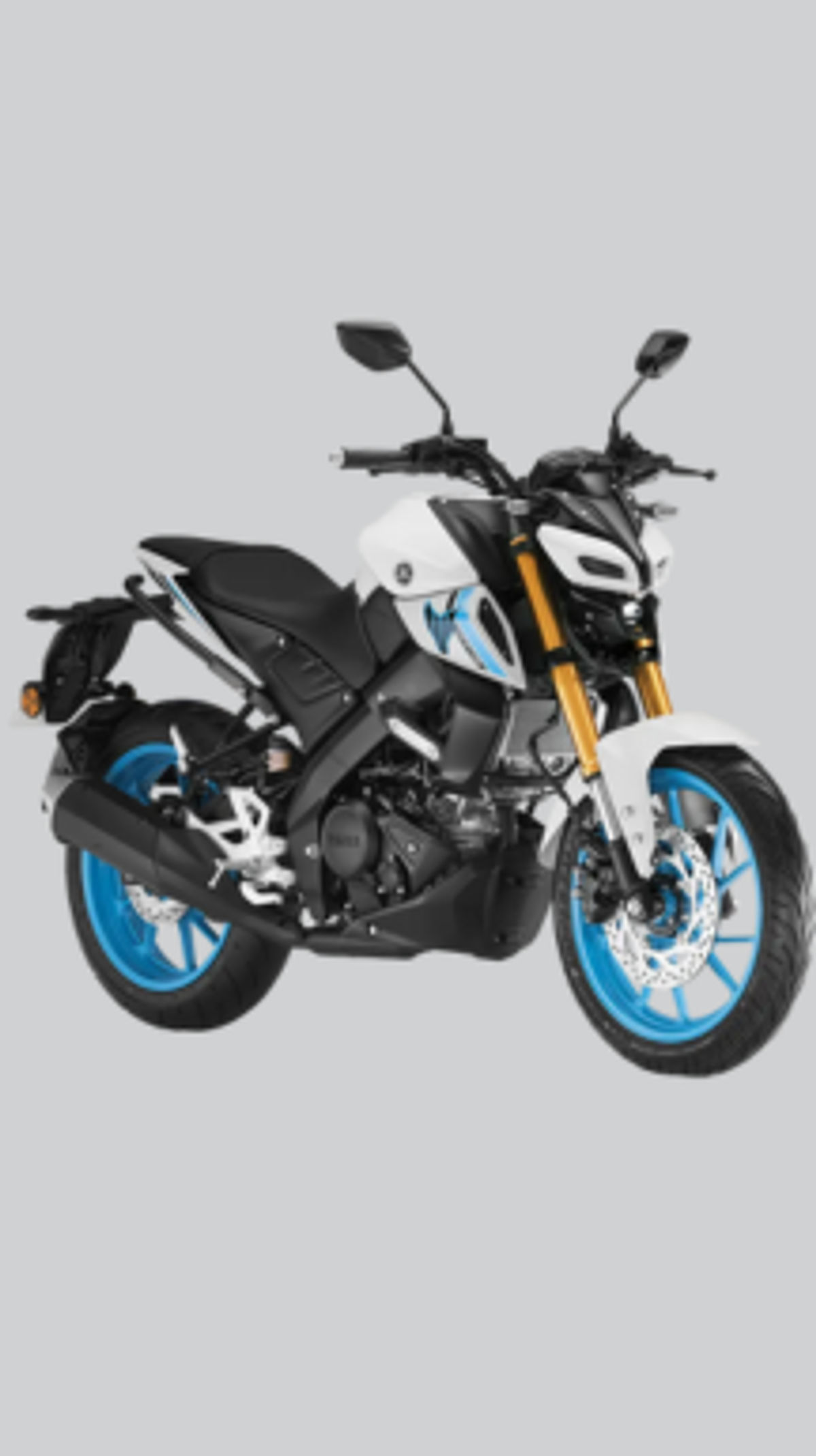 2025 Yamaha MT 15 Version 2.0 Image Gallery